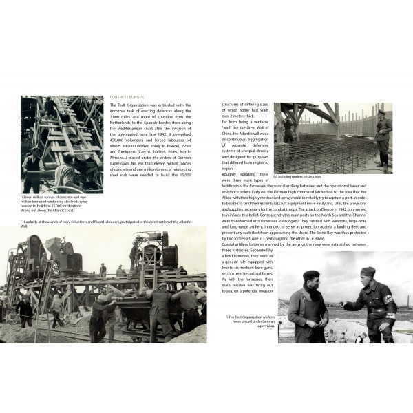 Normandy 44